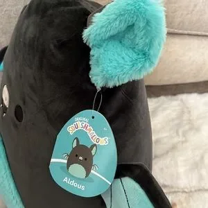 Squishmallows | Toys | On Hold Squishmallows Aldous The Bat Nwt 2 ...